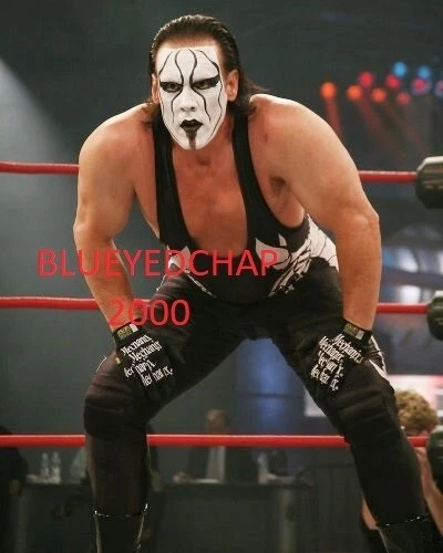 Wcw Sting 2001