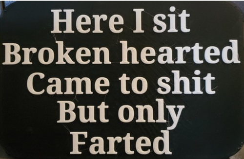 Funny Bathroom Here I Sit Broken Hearted Came to S**t But Only Farted ...