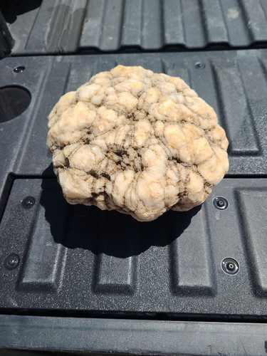 28lb Large Giant Indiana Geode | eBay