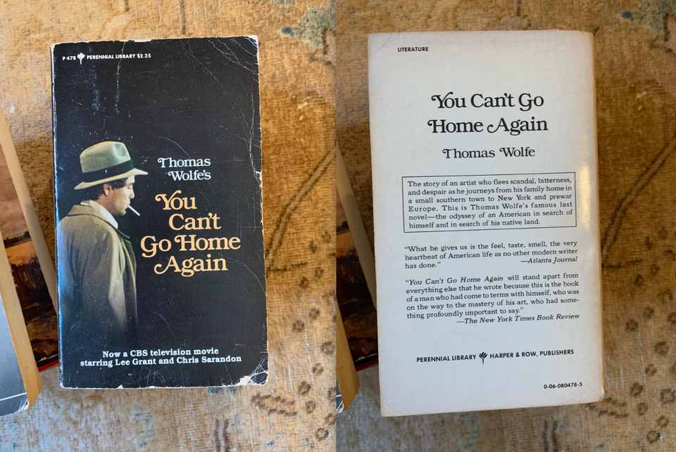 VINTAGE American + British Classics Literature 📚10 Book Lot Paperback ...