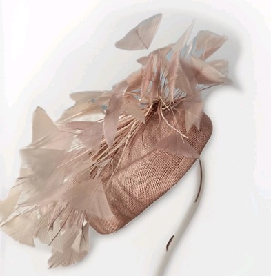 JACQUES VERT FASCINATOR Light Rose Blush Pink | eBay UK