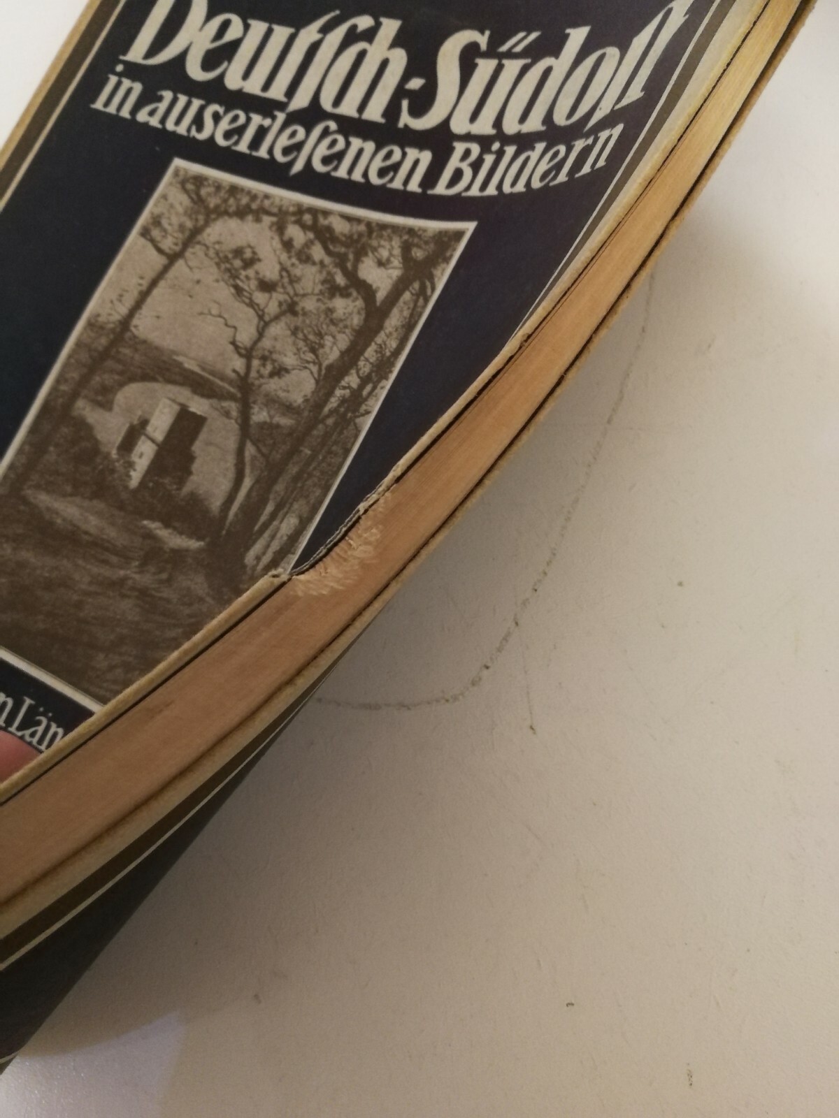 Die Blauen Bucher - German Blue Book - photo images Germany | eBay UK