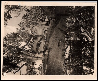 Bruce Bennett SEXY QUITE HANDSOME TARZAN 1940s Publicity Portrait ORIG ...