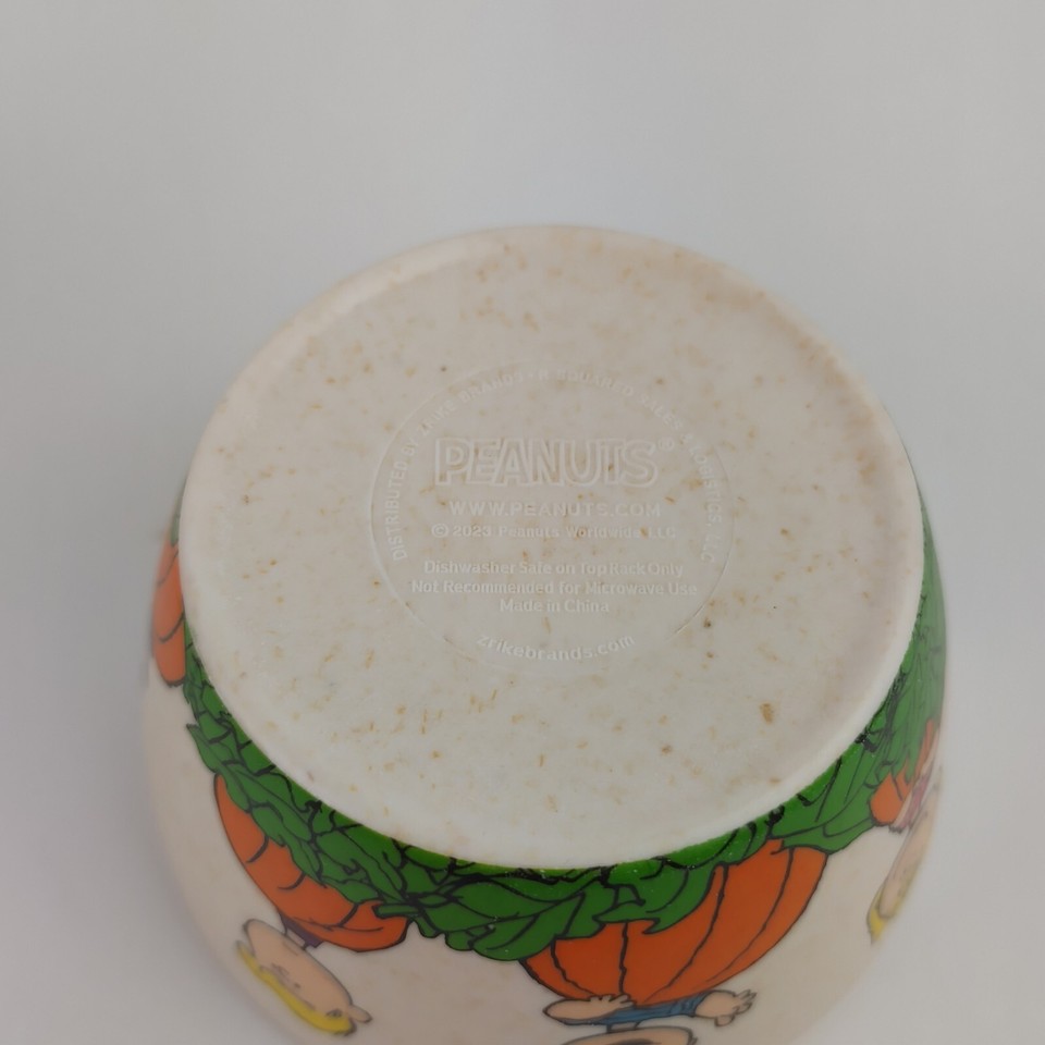 Set of 12 Peanuts Bamboo Bowls & Cups Thanksgiving Great Pumpkin Snoopy ...