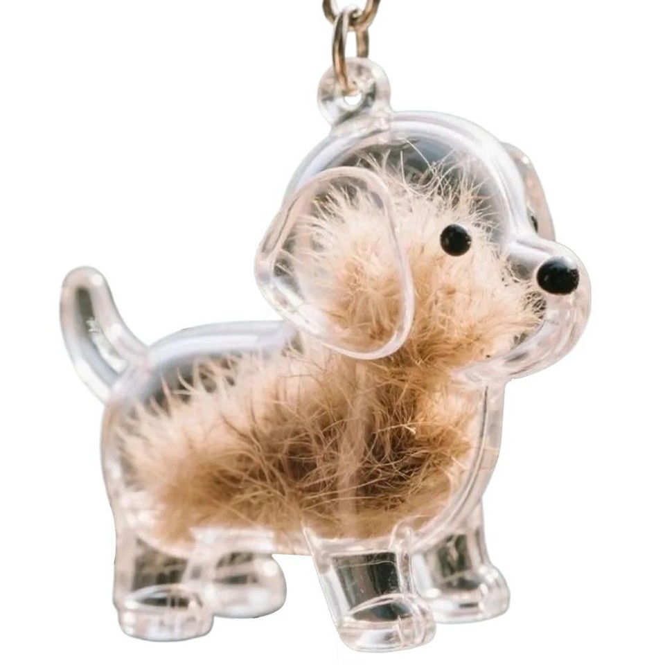 -Pet Hair Storage Creative Keychain Clear Dog Shell Pendant Memorial ...