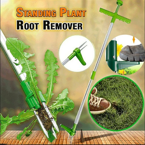 Standing Plant Root Remover 2020 NEW | eBay