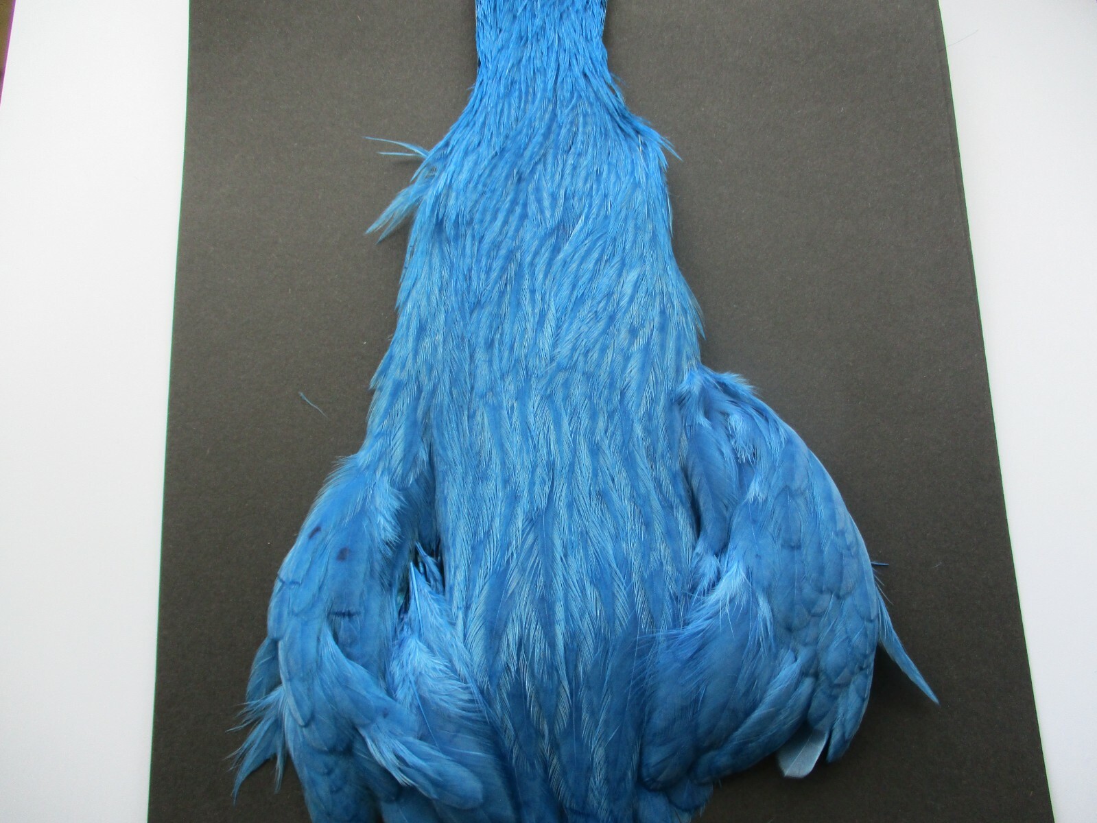 hen neck cape genetic doctor blue hackle feathers fly tying materials ...