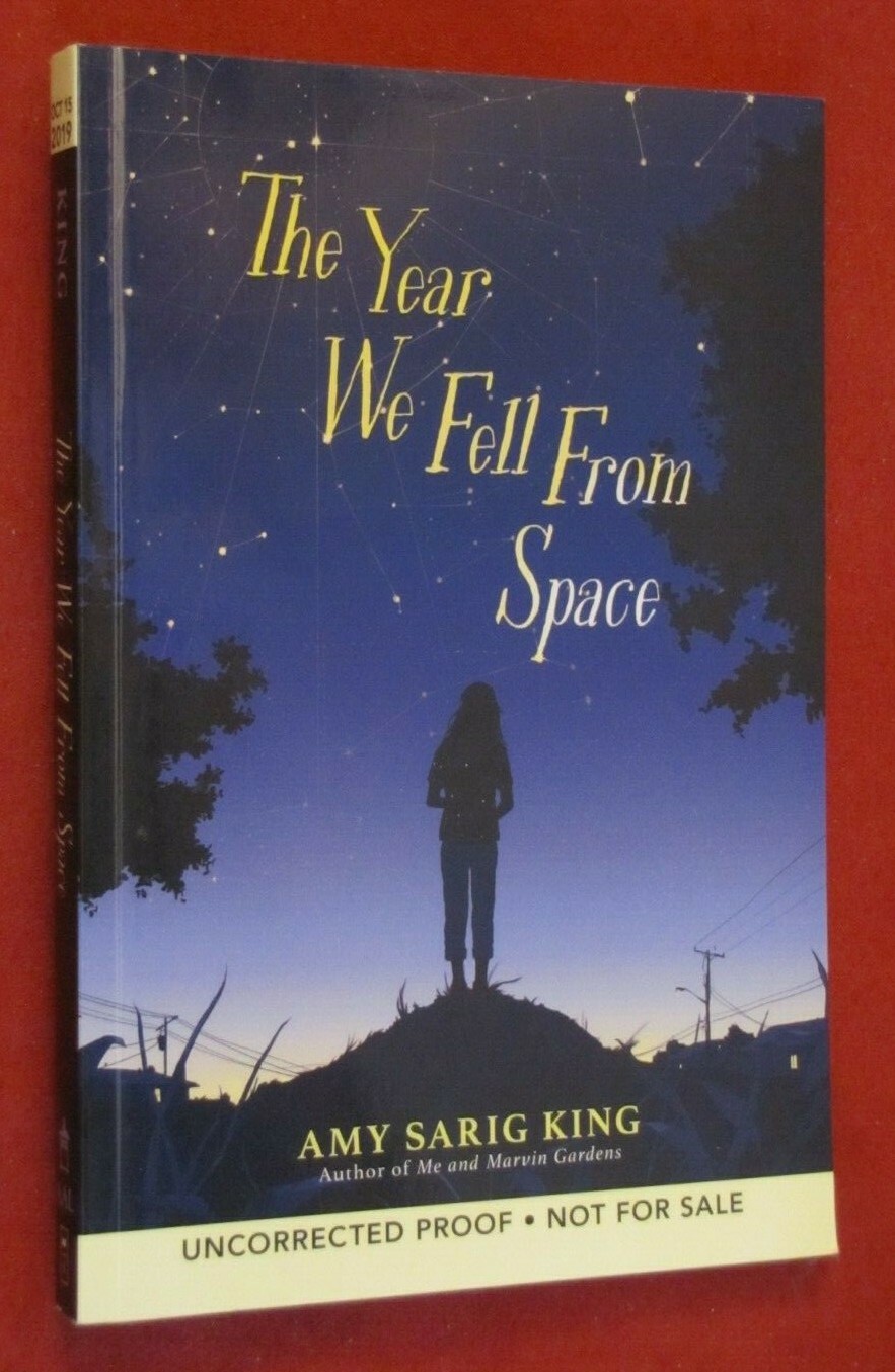 The Year We Fell from Space by Amy Sarig King (2019, Hardcover) for ...