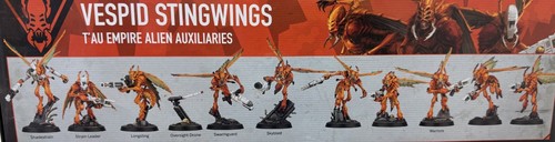 Warhammer 40K Kill Team Hivestorm Tau Empire Vespid Stingwings NOS | eBay