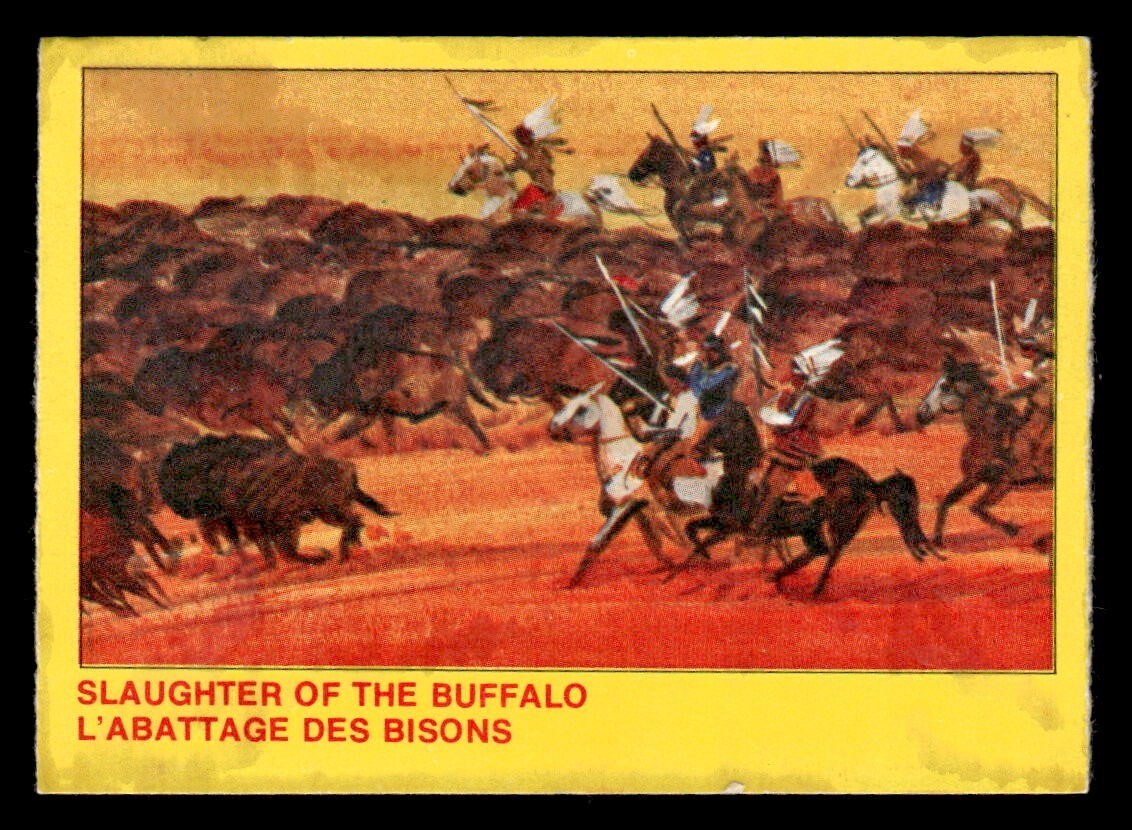1972 OPC Royal Canadian Mounted Police #20 Slaughter Of The Buffalo VG ...