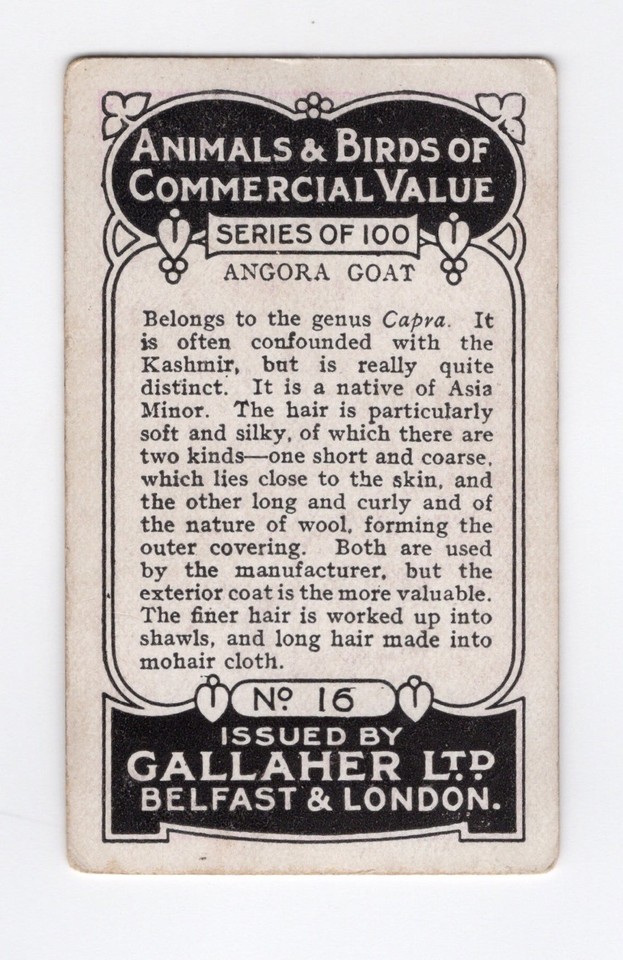 Birds and Animals of commercial value card 1921 #16 Angora Goat | eBay