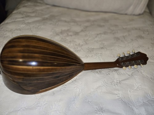 Vintage M.Iucci Italian Handmade Bowlback Mandolin | eBay