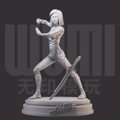 1/24 resin figures model 3D printing of battle angel female robot ...