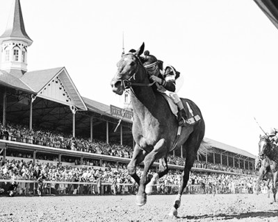 SPECTACULAR BID 1979 KENTUCKY DERBY WINNER HORSE RACING 8X10 PHOTO RON ...