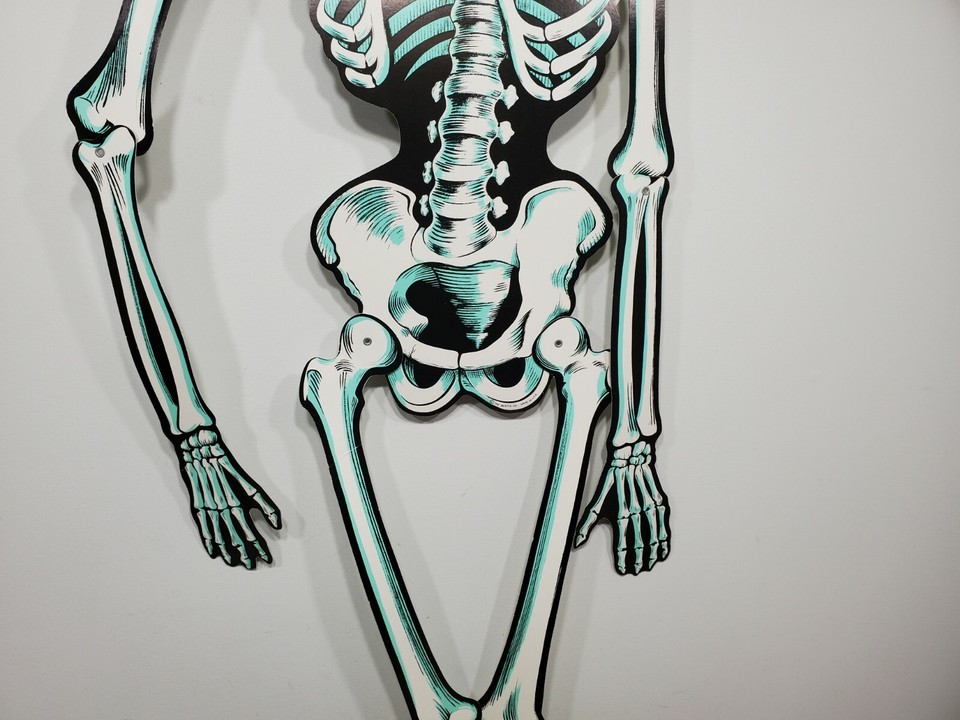VINTAGE BEISTLE CREATION LIFE SIZE 55 INCH JOINTED SKELETON NRFP ...
