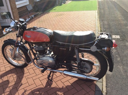 Triumph Motorbike TR6P 650cc | eBay UK