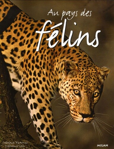 Au pays des félins | eBay