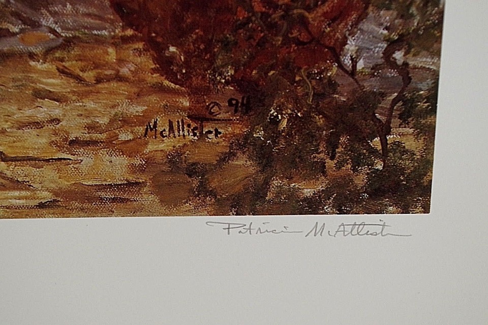 PAT McALLISTER LOOK FOR ME NATIVE AMERICAN ART PRINT L.E. 226/500 ...