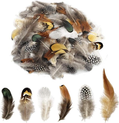 180pcs 6 Style Natural Feathers Assorted Mixed Feathers for Dream ...