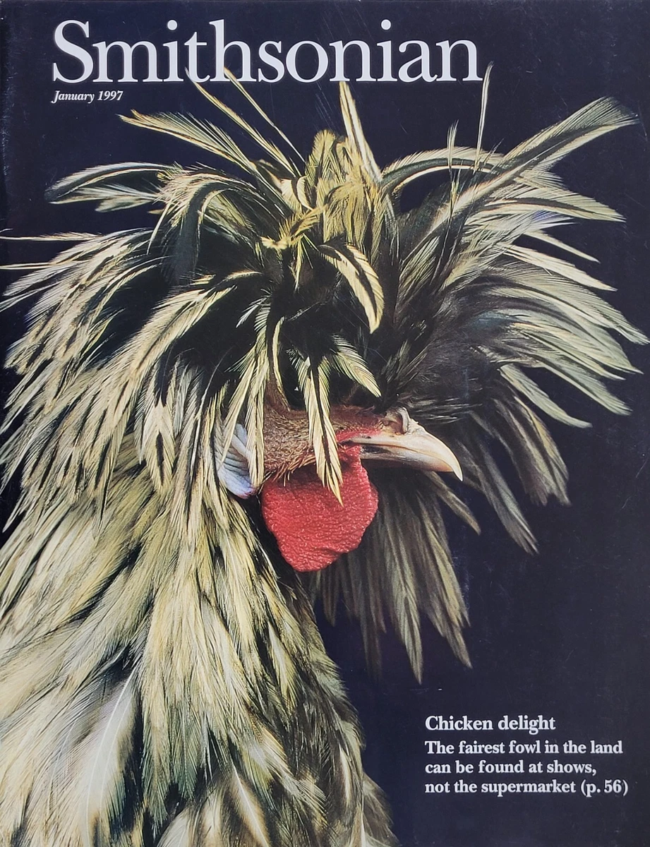 Chicken Magazine