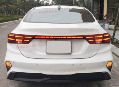 For Kia Forte 2019-2022 LED Tail Door Lights/ Brake Lights/ Turn Signal ...