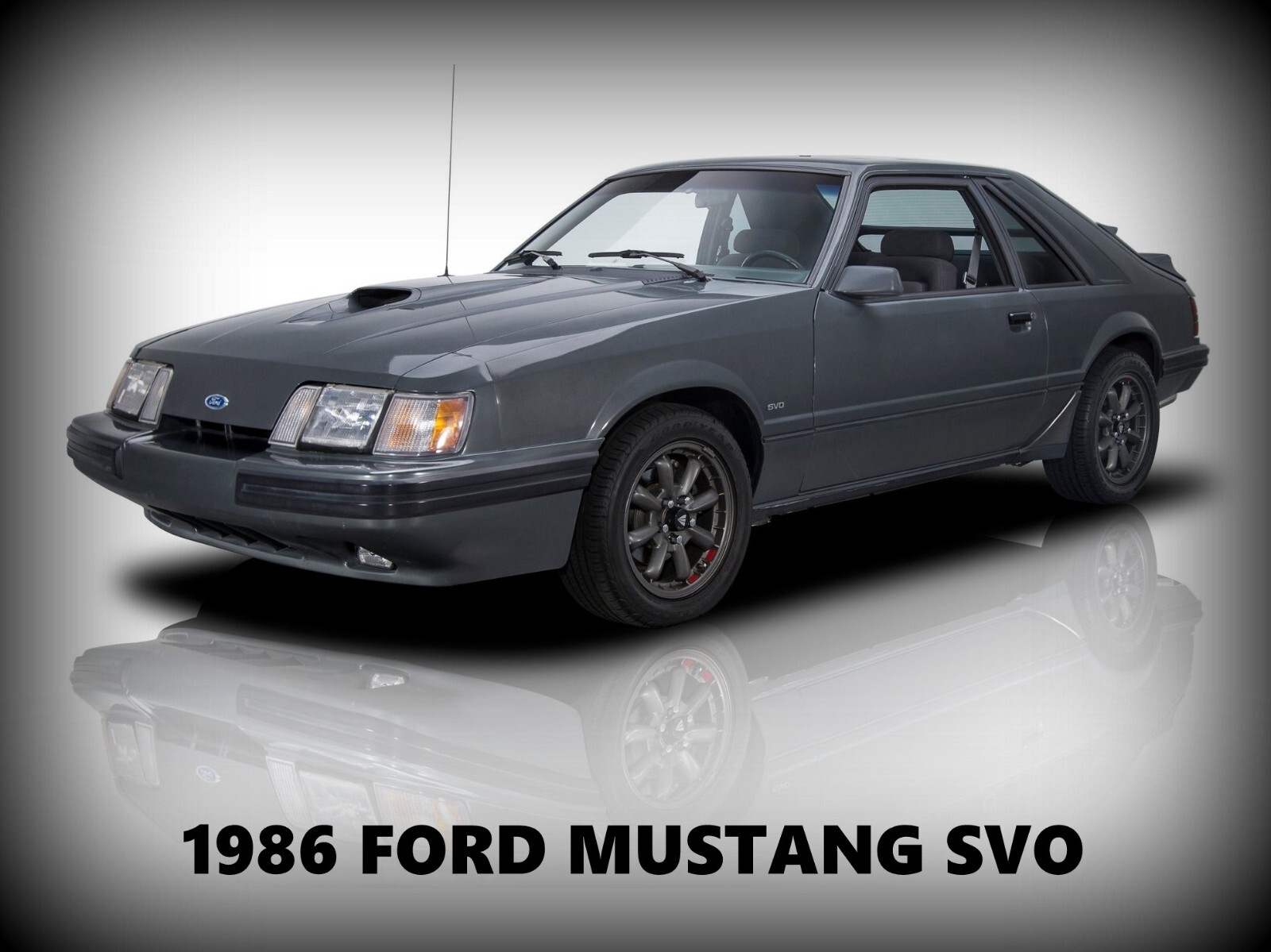 1986 Ford Mustang SVO New Metal Sign: 12x16" Ships Free | eBay