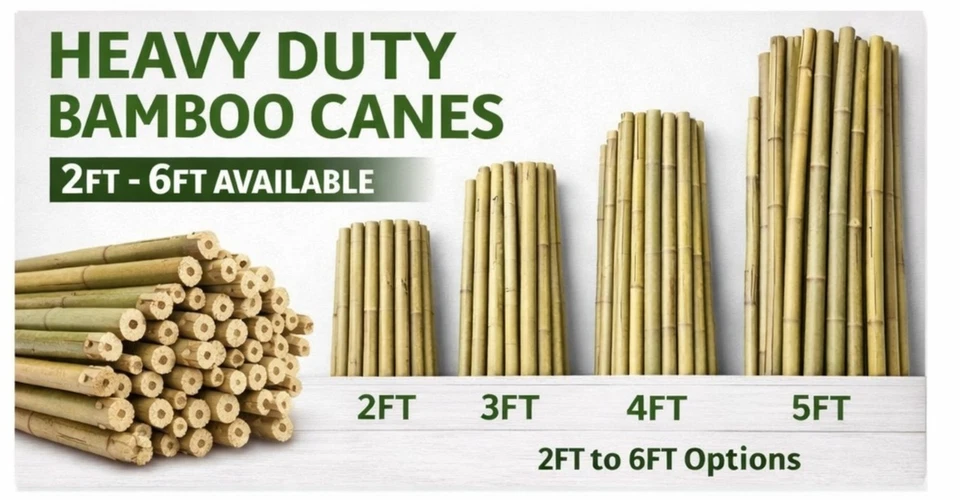 bamboo sticks products for sale | eBay UK