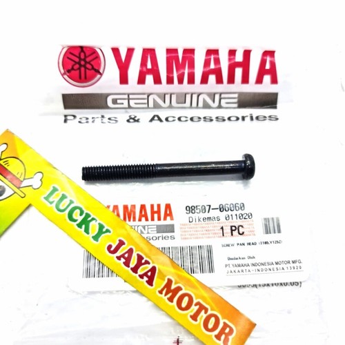 Genuine Parts Yamaha RX-King RXK RX 135 Screw Pan Head 98507-06060 ...