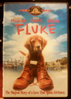 Fluke (DVD, 2009, DVD) Matthew Modine Nancy Travis Eric Stoltz | eBay
