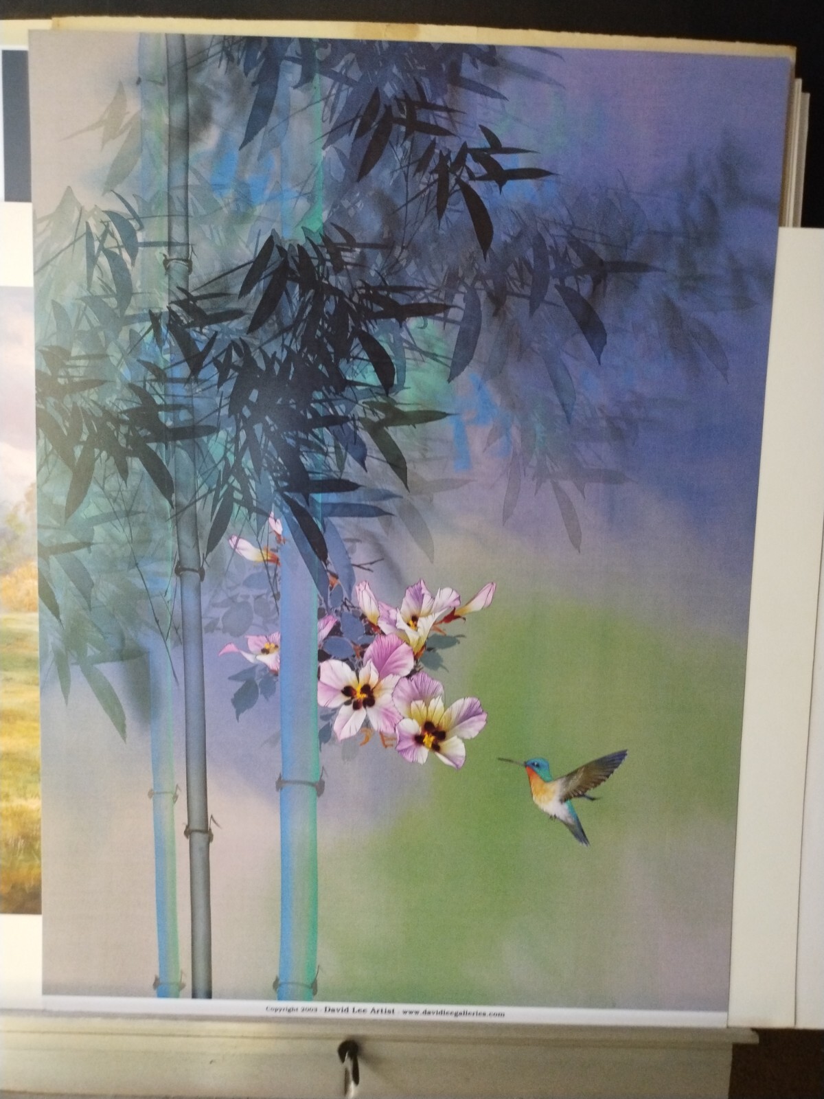 David Lee hummingbird lithograph print 18x24 | eBay