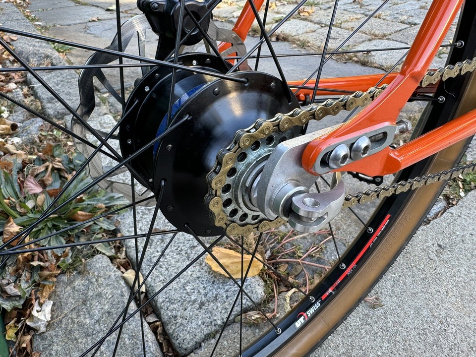 Wily 19” Steel Custom 29” MTB Cruiser Rohloff White Bros Paul Phil Wood ...