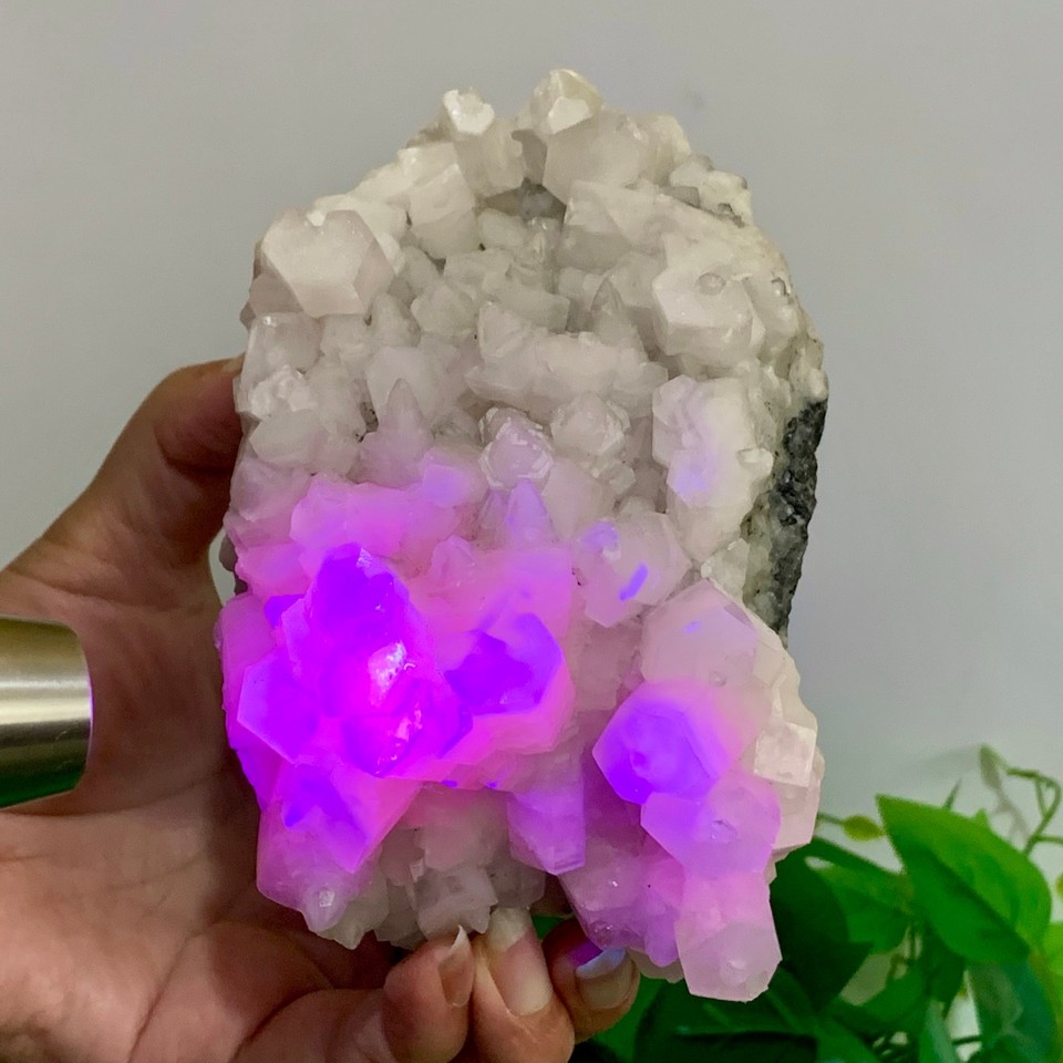 1.72LB Natural Transparent White Fluorescent Calcite Crystal Quartz ...