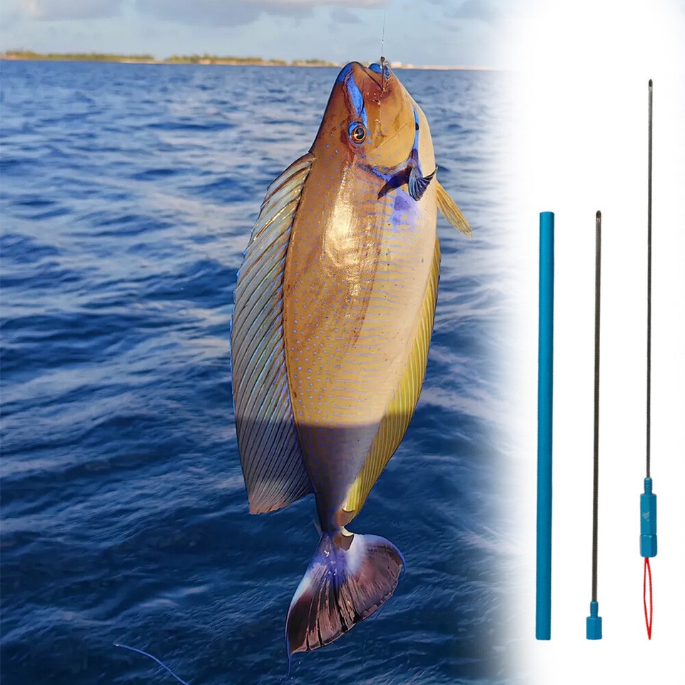 DE* Fish Venting Hollow Needles Earthworm Hooking Needles Gas Needle ...