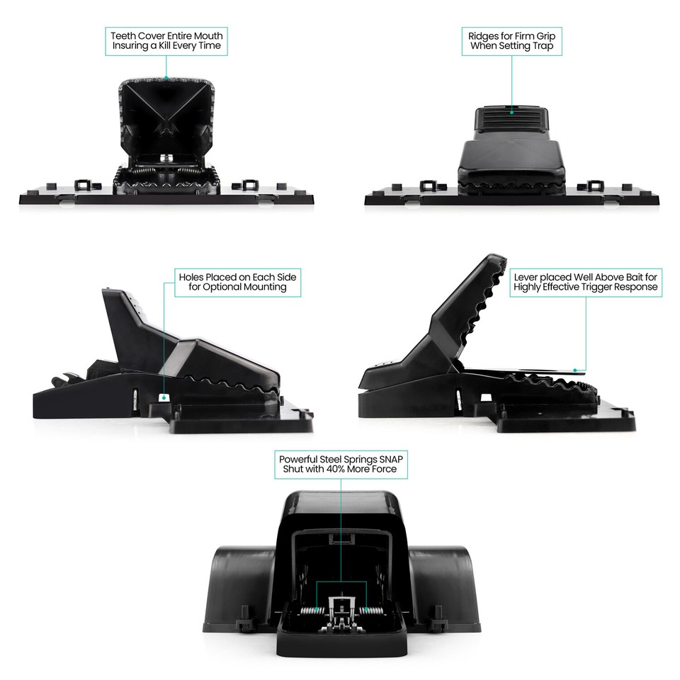 eXuby Pet-Safe Mouse Trap - Tunnel Design, Dual Entry for Better Catch ...