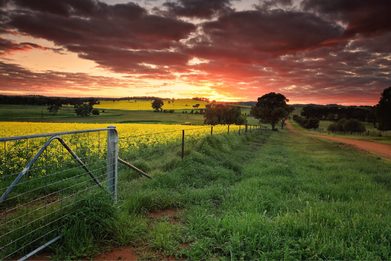 Sunrise on Farm in Country NSW Print Premium Poster High Quality choose ...