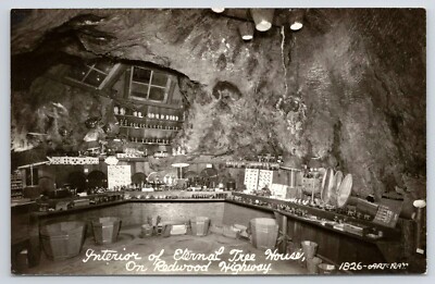 1950s Interior of Eternal Tree House Redwood Highway Redcrest CA RPPC ...
