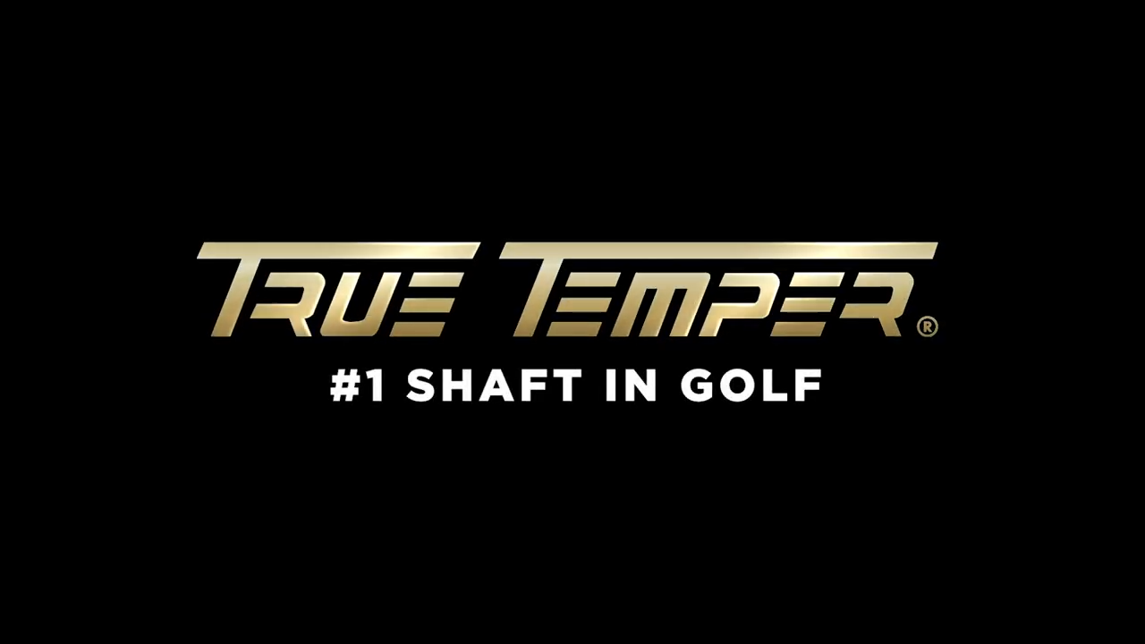 True Temper Dynamic Gold X7 X Seven 4-PW Iron Shaft Set .355 Taper Tip ...