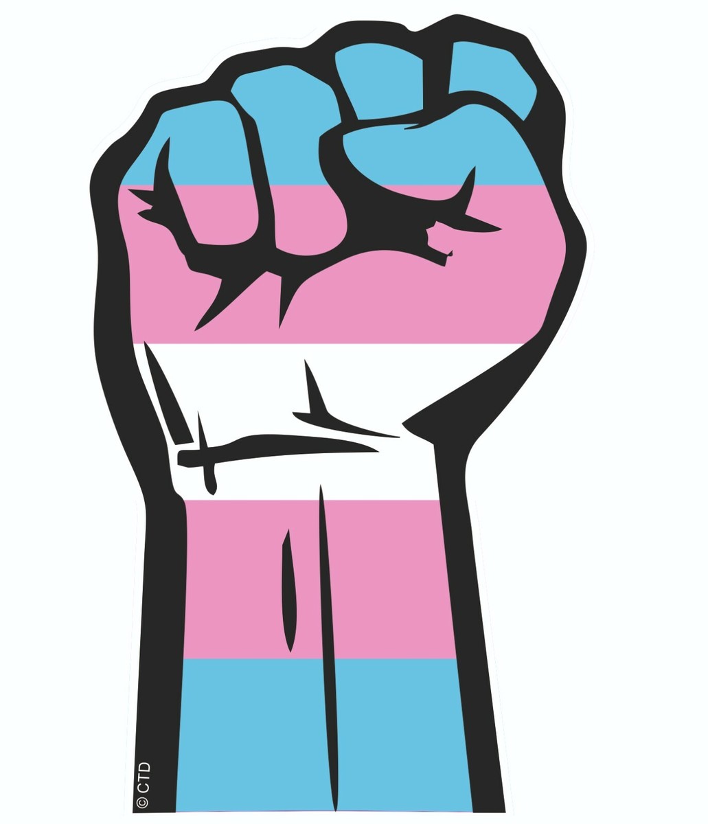 Solidarity Fist
