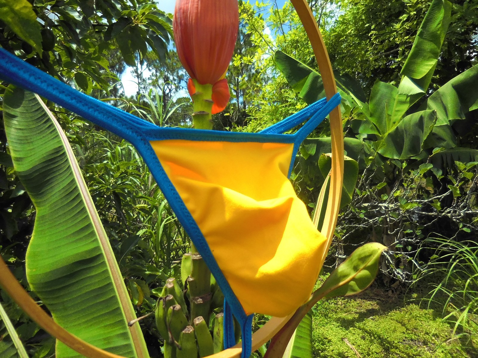 Men,s G String Well Endowed SUPER HERO Color, Trim & Back Choice Ask ...