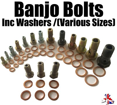 Banjo Bolt M6 M8 M10 M12 M14 M16 M18 Metric Thread Fitting BSP | eBay UK