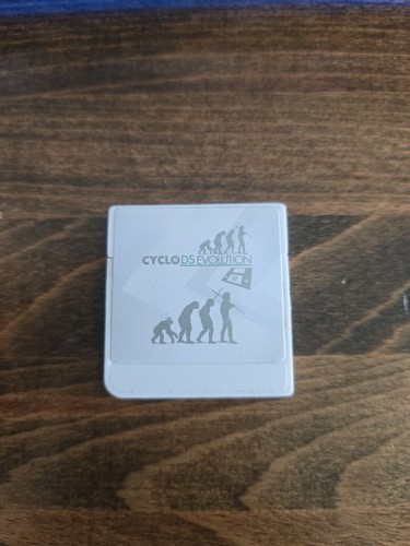CycloDS Evolution For Nintendo DS - With 4GB Micro SD Card (READ) | eBay
