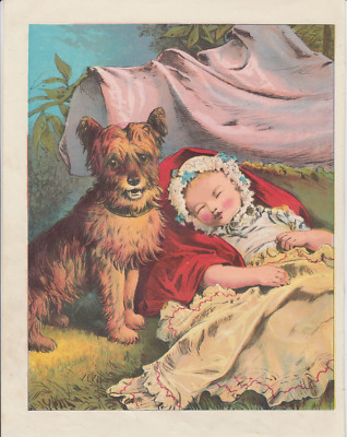 TERRIER DOG WATCHING OVER SLEEPING BABY ANTIQUE LITHOGRAPH DOG ART ...