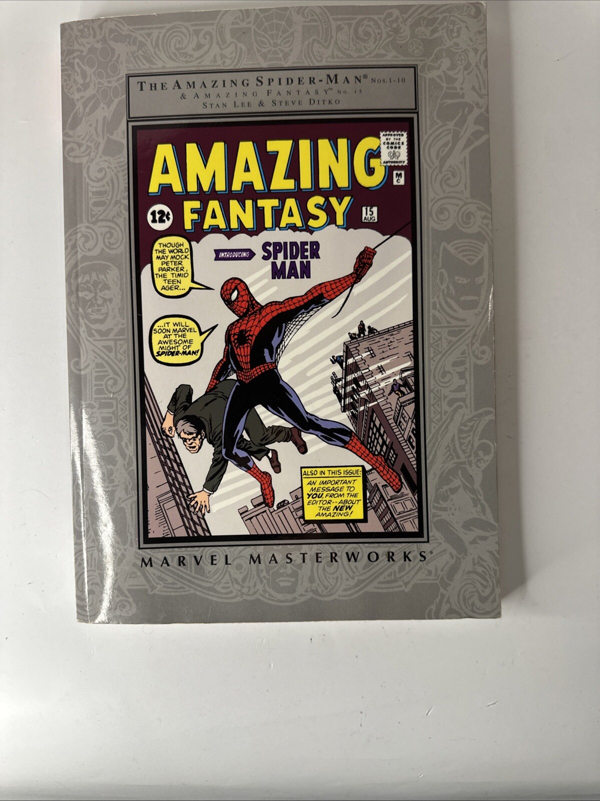 Marvel Masterworks Volume 1 Soft Cover Amazing Spider-Man Numbers 1-10 ...