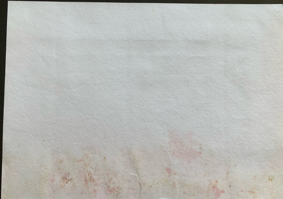 ROSE MARIE IRISH SINGER VINTAGE **HAND SIGNED** PHOTO CARD AND LETTER ...