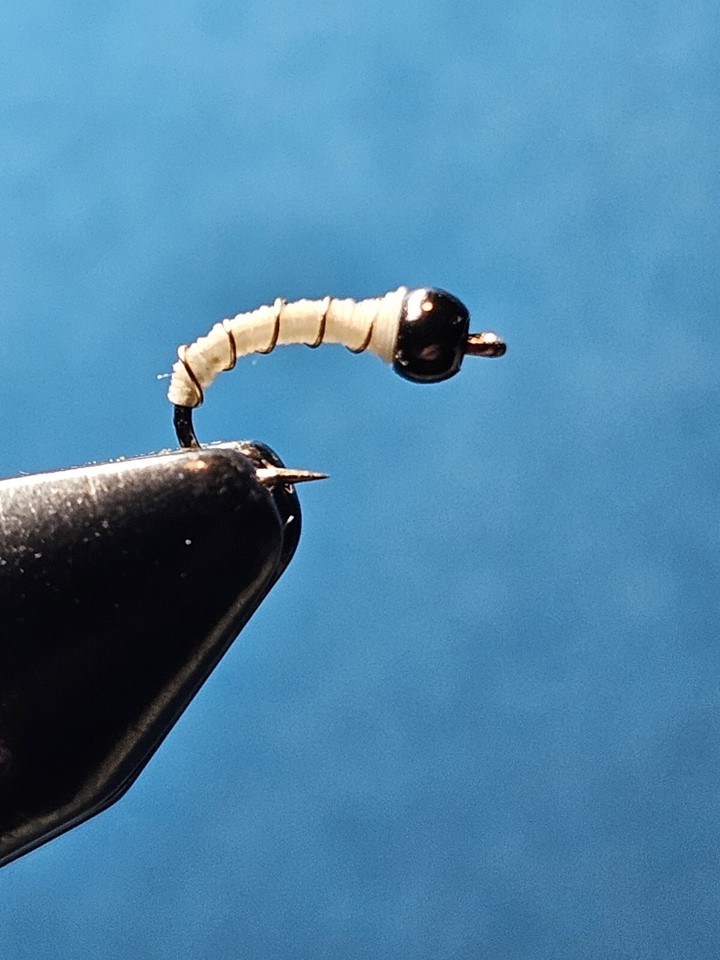 Tungsten Miracle Midge Larvae Zebra Nymph Fly size 16 FREE SHIPPING | eBay