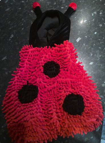 Dream Play Imagine 12-18mths Red Ladybird Slip On Elasticated Costume ...