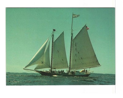The SCHOONER Steven Taber built vintage postcard unposted | eBay
