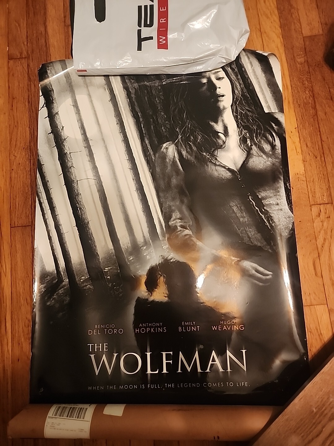 THE WOLFMAN / Original 2010 DS Movie Poster | eBay