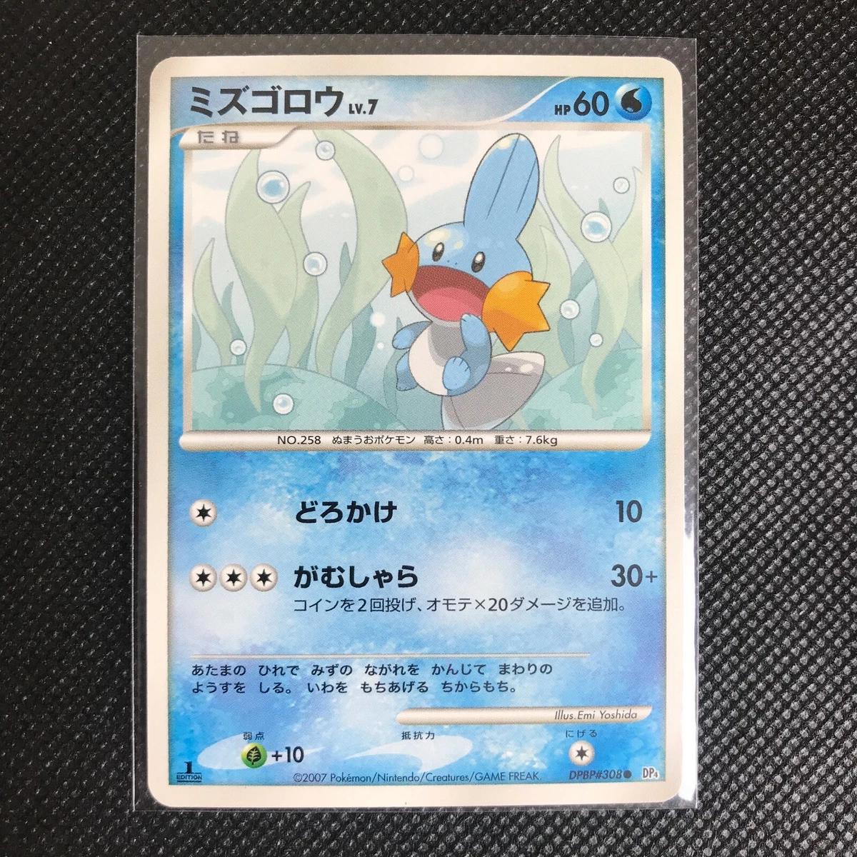 Shiny Mudkip Card