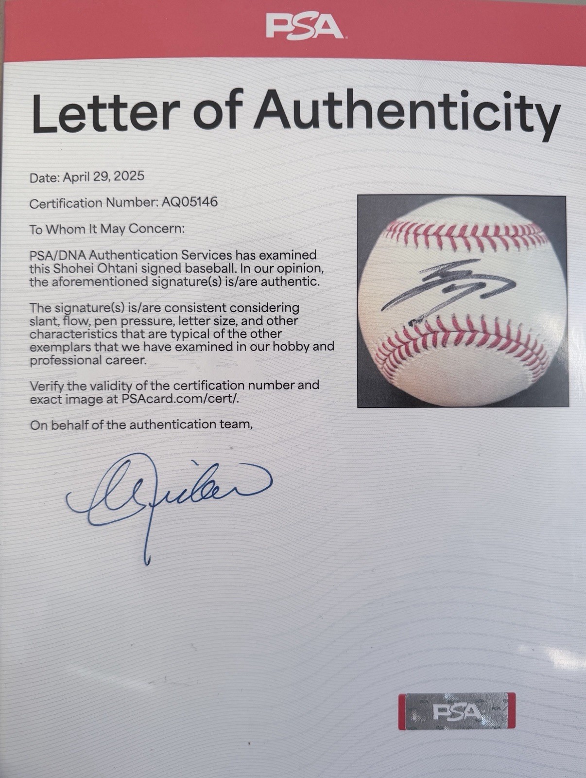 Shohei Ohtani Autographed Ball. PSA. Rookie Signed. The Best Kind ...